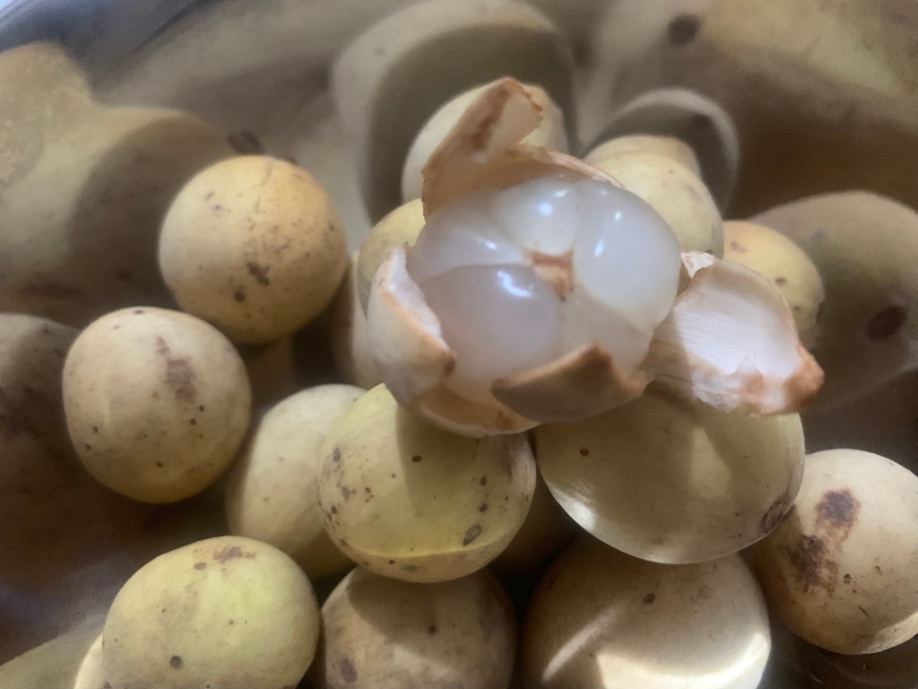 Das Essen, der Obst und verschiedene Esskultur in Singapur (Teil 1 ...